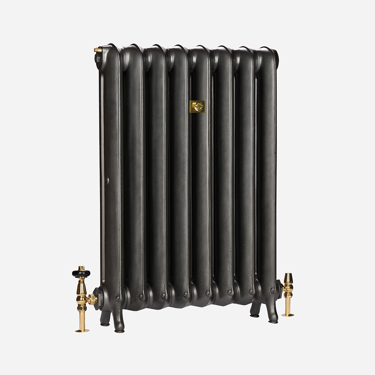 Princess 2 Column 30in Cast Iron Radiator by Beeston