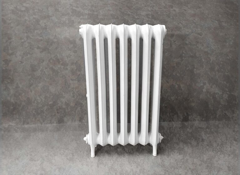 Princess 1 Column 24in Cast Iron Radiator by Beeston