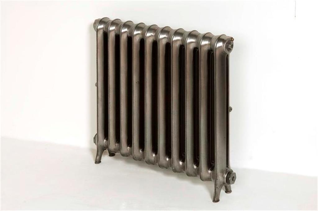 Princess 1 Column 24in Cast Iron Radiator by Beeston